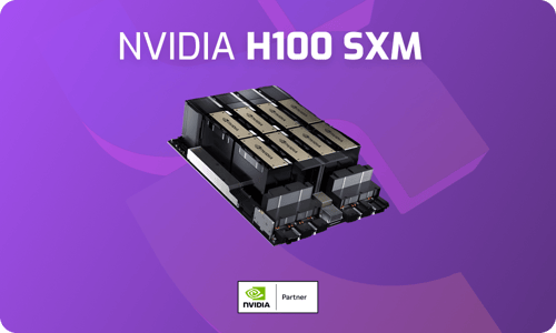 NVIDIA H100 SXM GPU VM Specs, Pricing and Reservation Guide